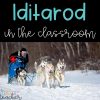 The Iditarod in the Classroom - The Friendly Teacher