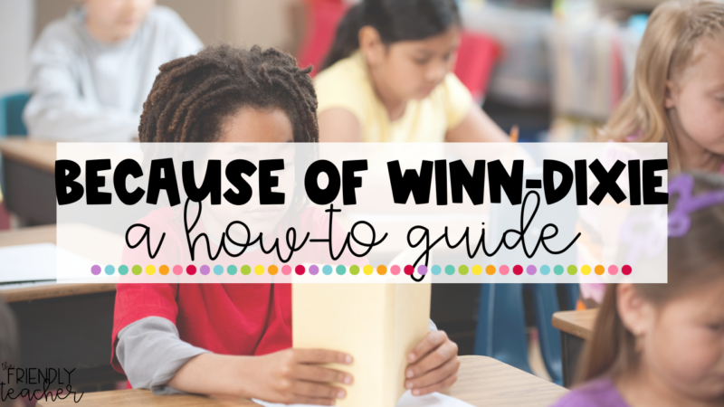 Activities for Because of Winn-Dixie - The Friendly Teacher